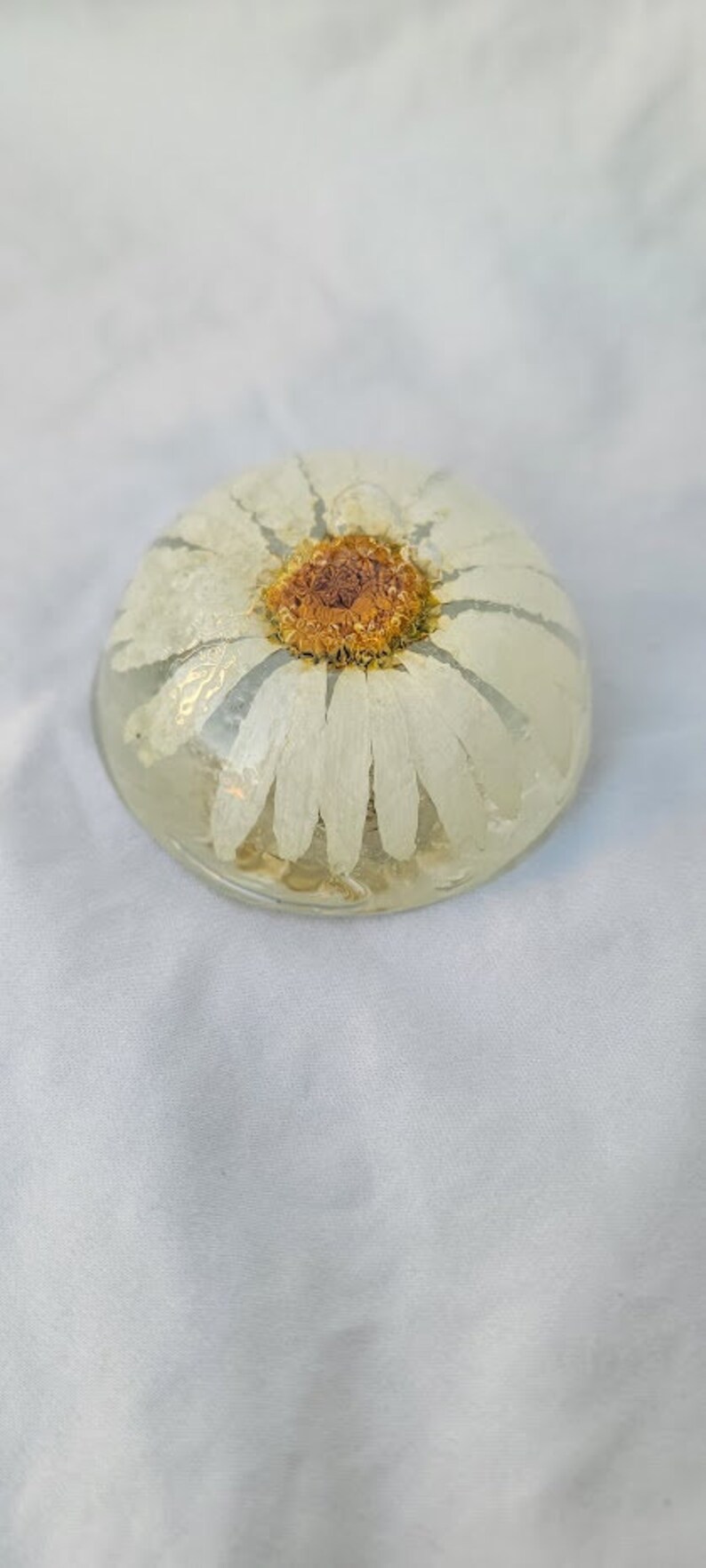 Handmade Dried Flower Resin Paperweights the Under Water - Etsy