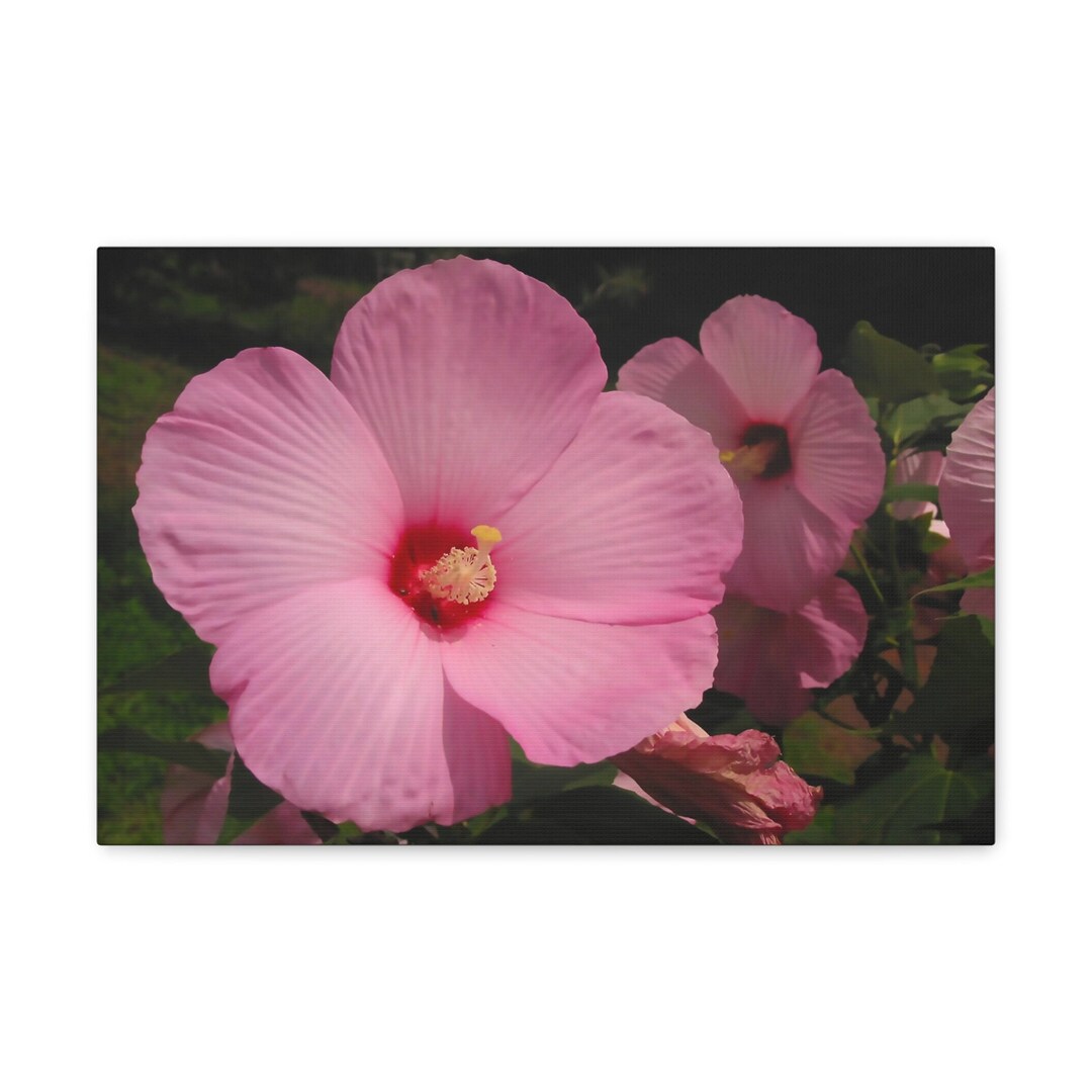Hibiscus Floral Wall Art, Bright Pink Hibiscus Gallery Print, Tropical ...