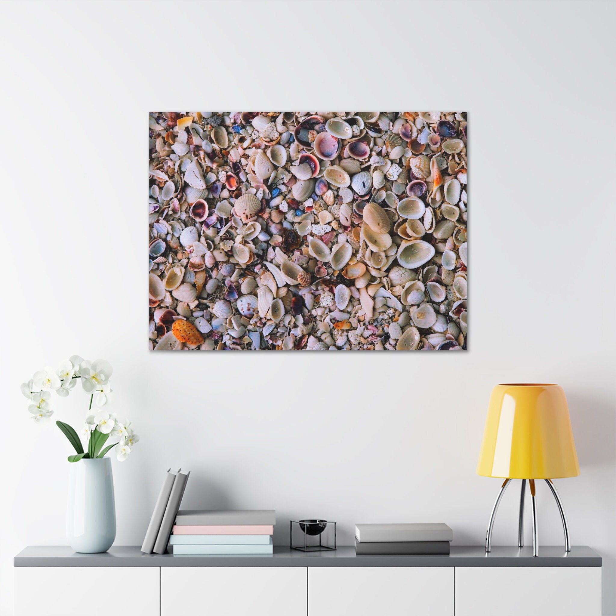 Beach Shells Wall Art, Sanibel Island Shells Gallery Print, Sea Shells ...