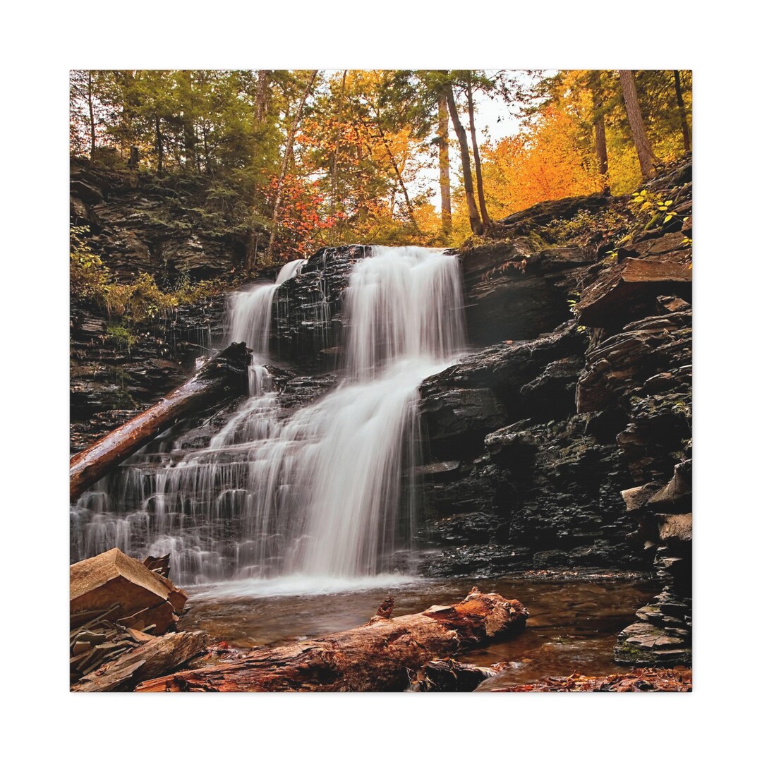 Autumn Waterfall Gallery Print, Forest Waterfall Wall Art, Majestic ...