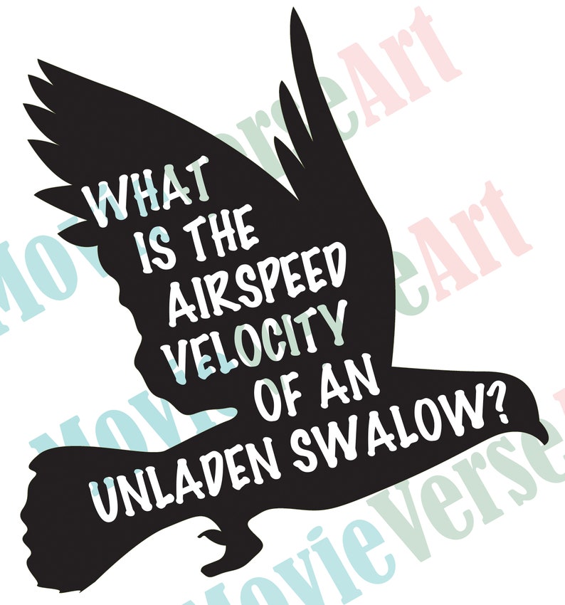 Holy Grail Airspeed Velocity of Unladen Swallow Quote SVG PNG JPEG - Etsy