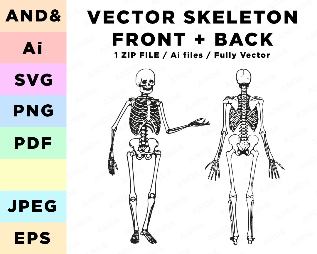 Skeleton Svg Bones Pieces Bones Skeleton Cut File Skeleton Vector File ...