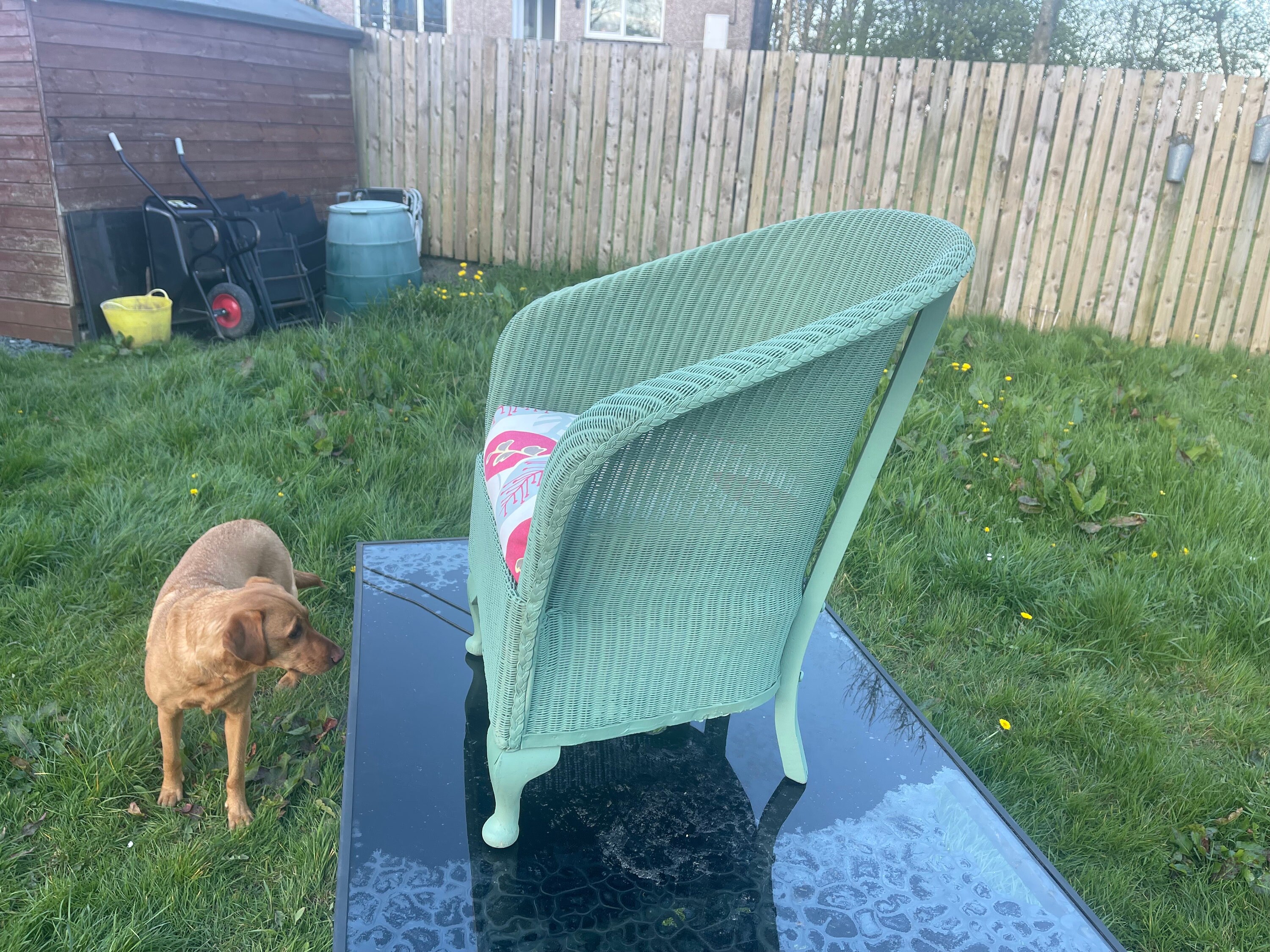 Original Vintage Lloyd Loom Chair With Sprung Seat. REDUCED - Etsy UK