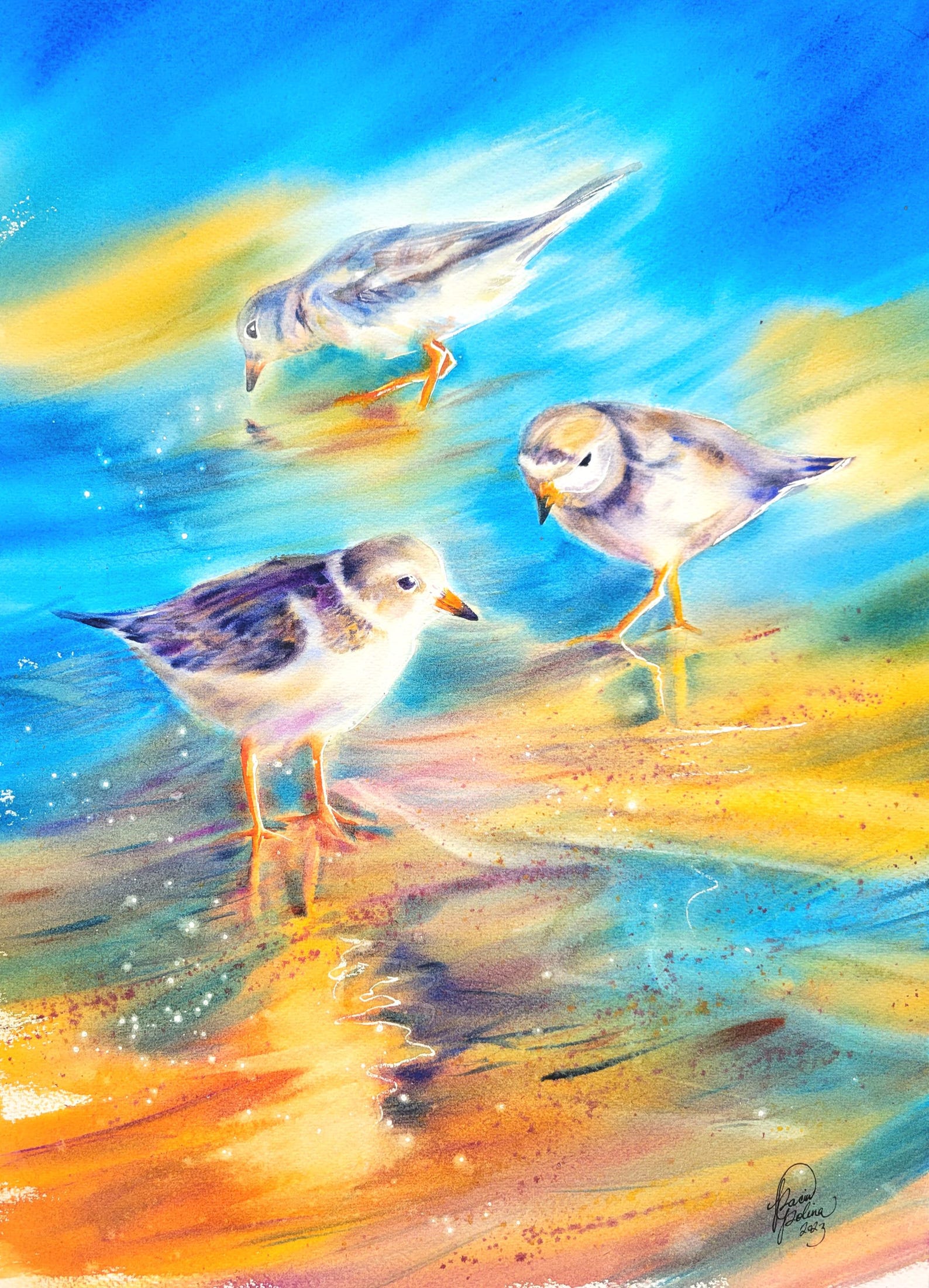 Piping Plover, Watercolor Painting by Polina Pacin - Etsy