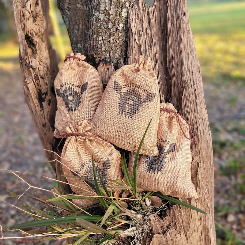 White Tooth Fossils - Etsy