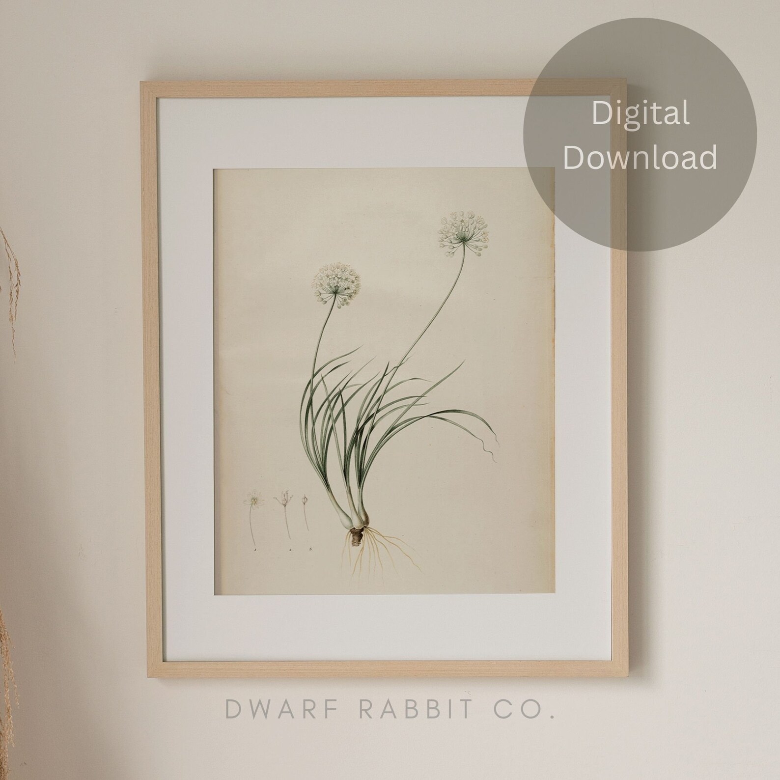 Vintage Sketch Flowers Drawing, Sketch Flowers Wall Art, Farmhouse Home ...