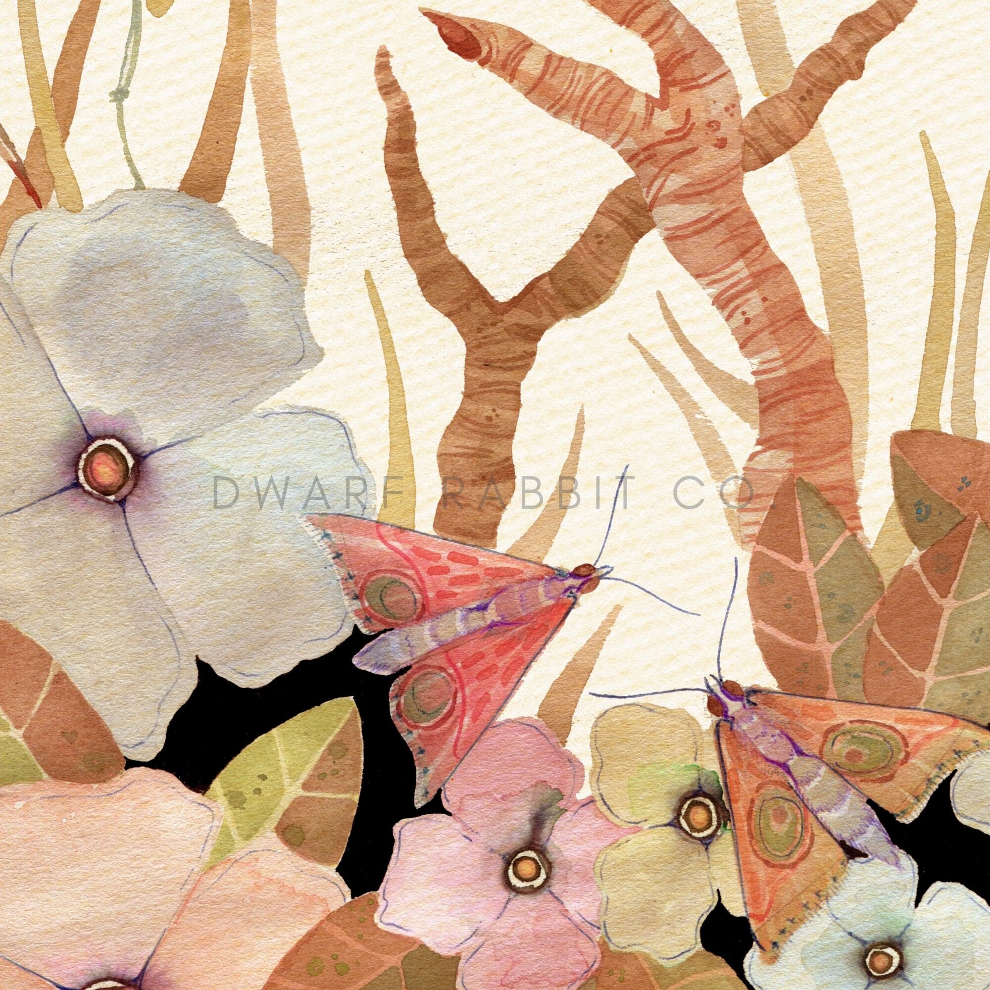 Watercolor Butterfly and Flower Drawing, Butterfly and Botanical Sketch ...