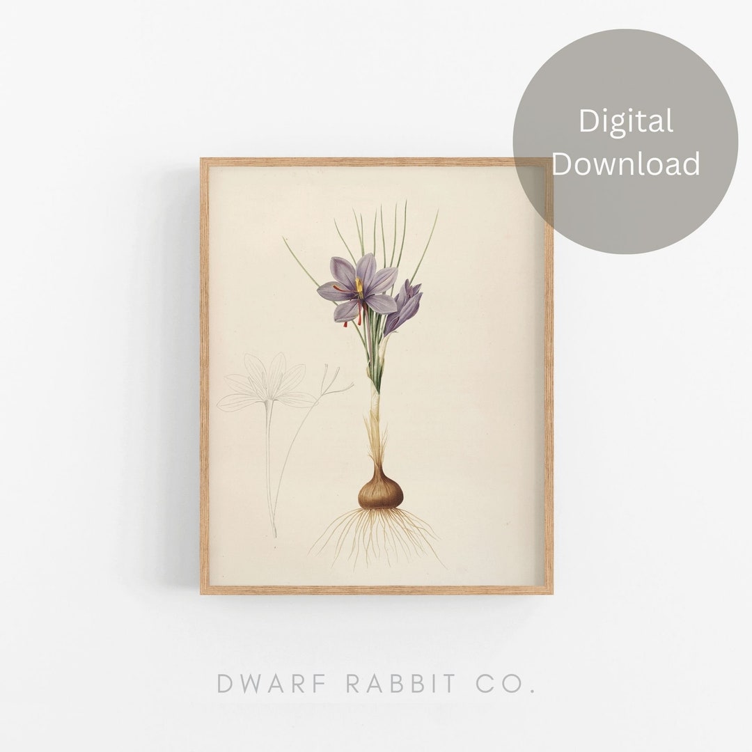 Vintage Sketch Flowers Drawing, Sketch Flowers Wall Art, Farmhouse Home ...