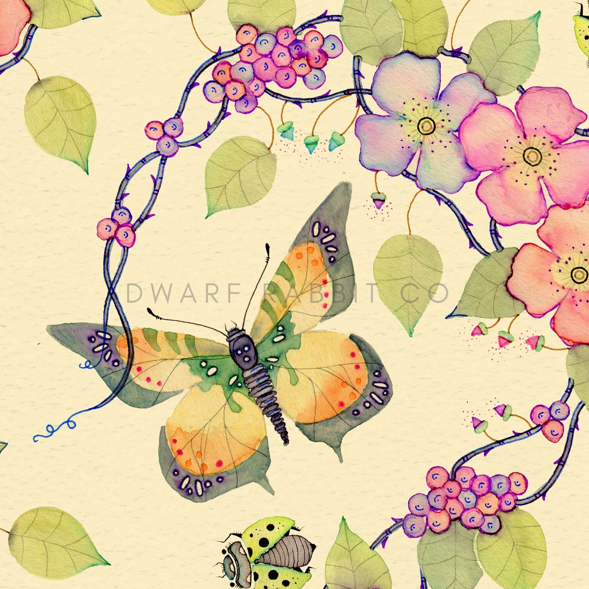 Watercolor Butterfly and Flower Drawing, Butterfly and Botanical Sketch ...