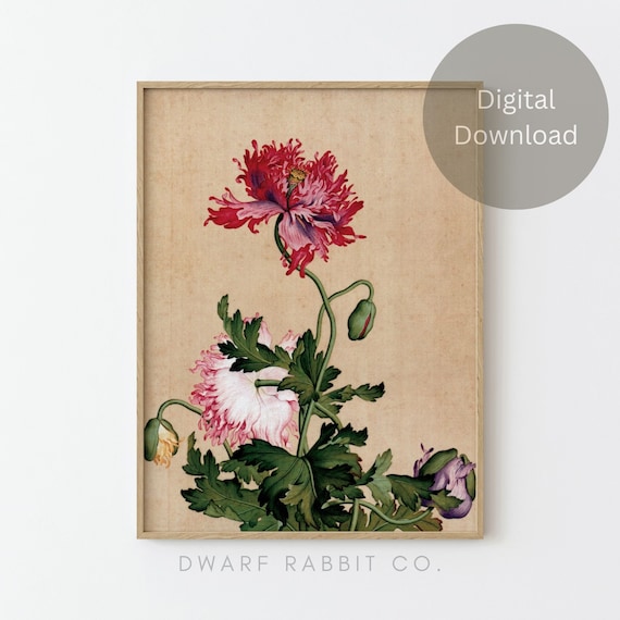 Vintage Flower Drawing Color