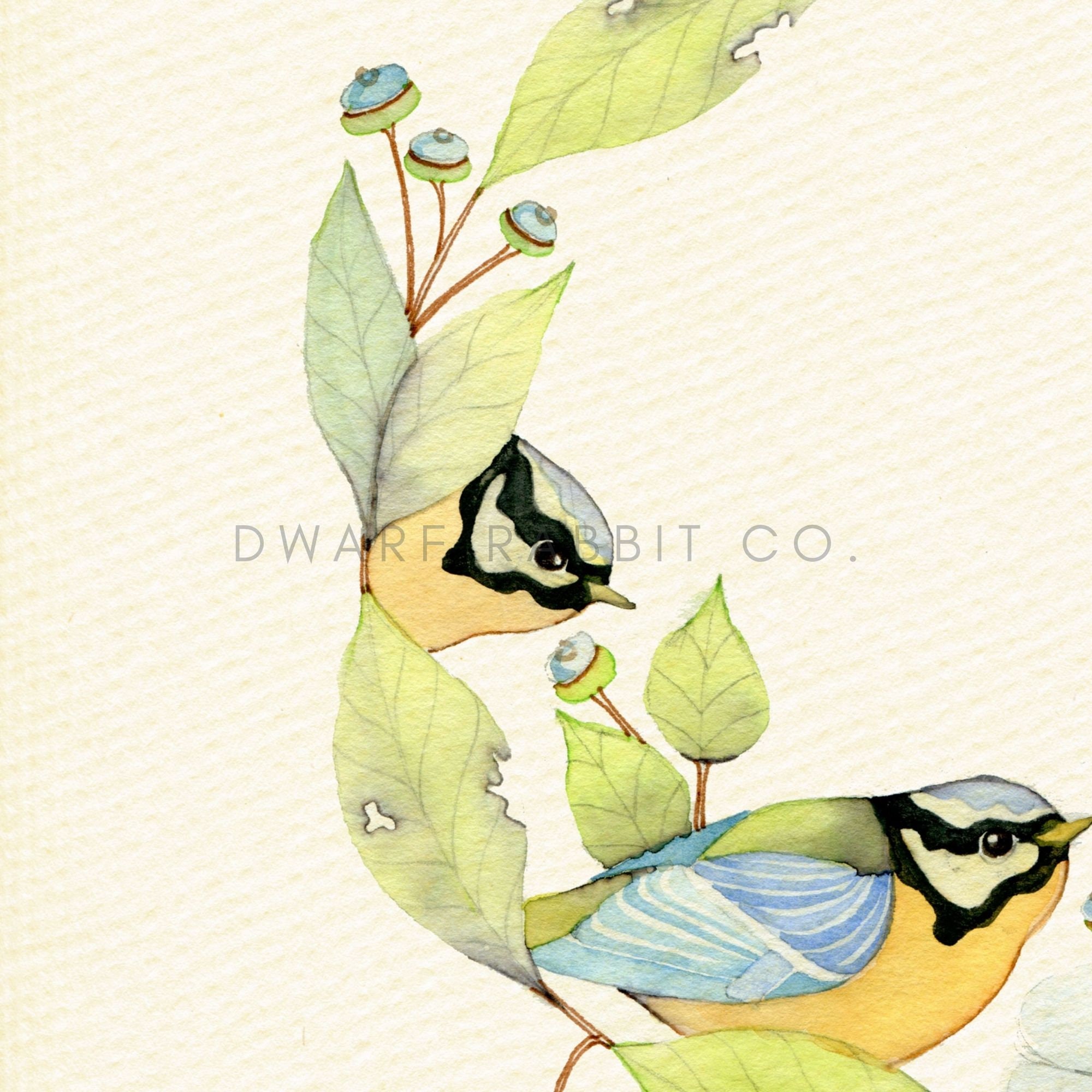 Watercolor Bird and Flowers Drawing Bird and Botanical Sketch - Etsy