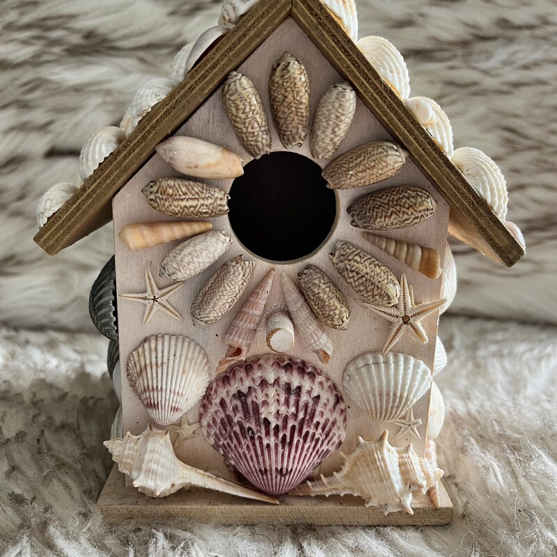 Seashell Birdhouse - Etsy