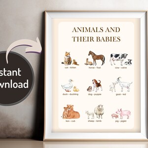 Montessori Classroom Printable Posters:educational Set of 3-abcs ...