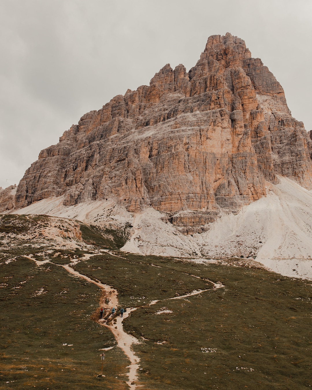 Digital Print | Nature Print | Digital Download Wall Art - Etsy