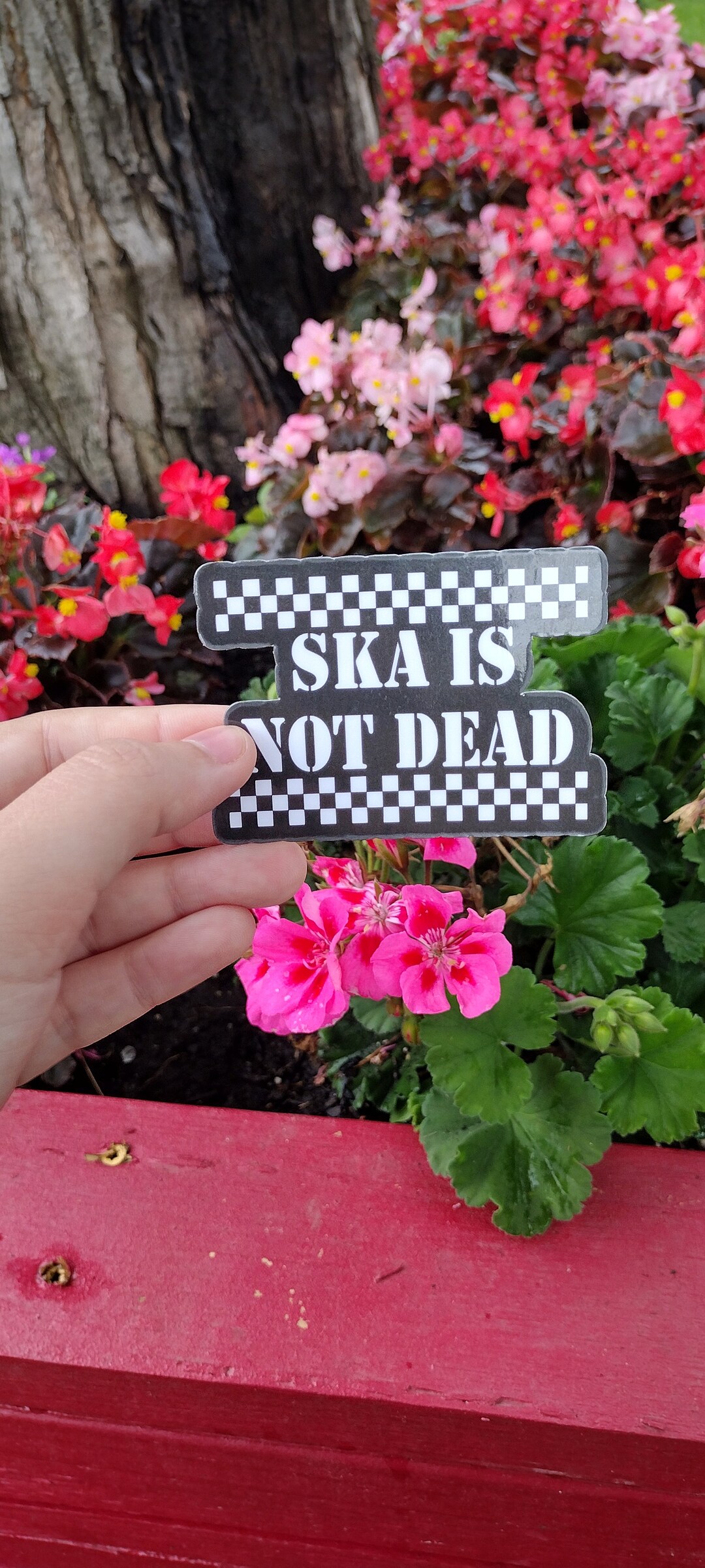 Ska is Not Dead Sticker Ska Sticker Music Sticker - Etsy