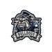 Bulldogs - 354th Fighter Squadron - Davis-monthan Air Force Base ...