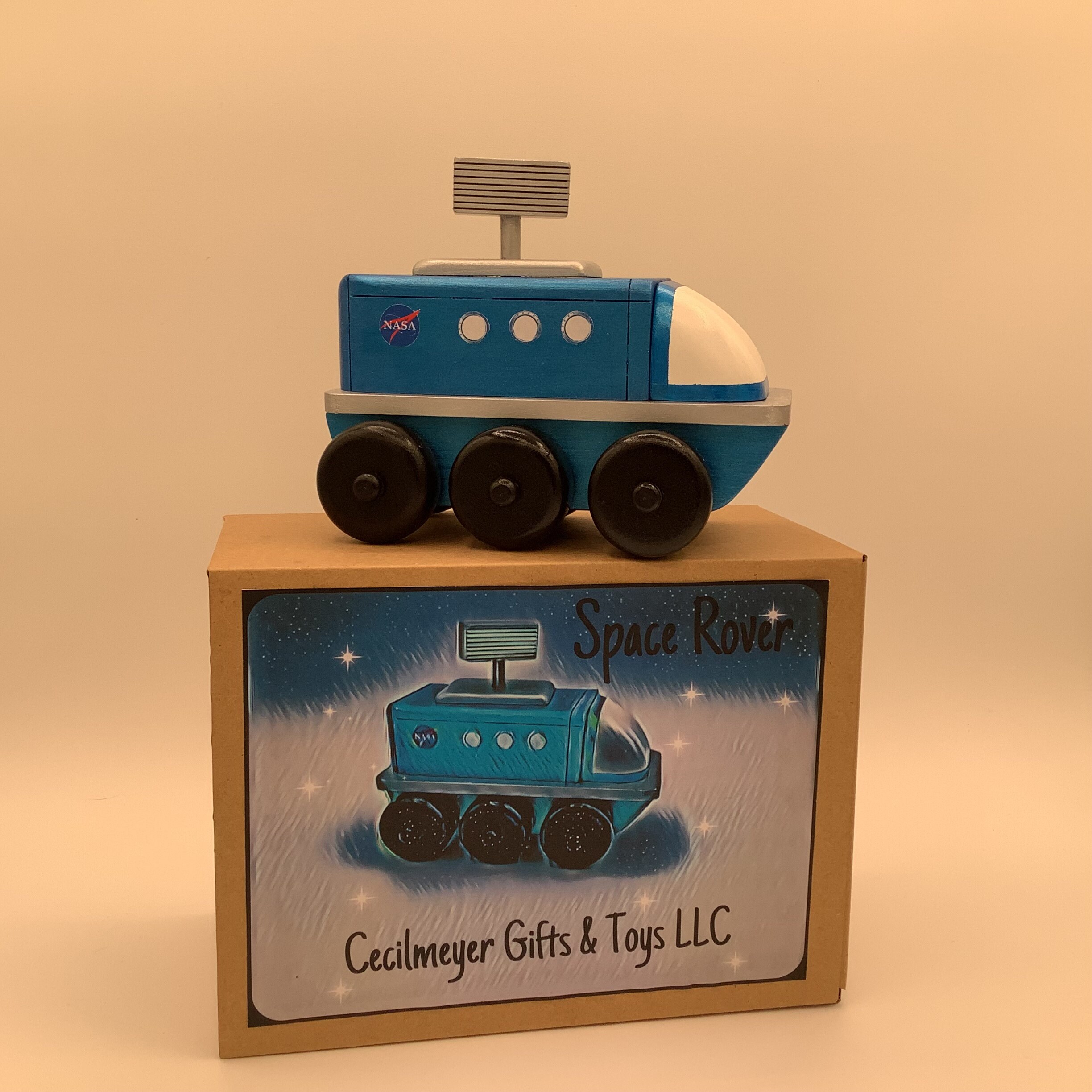 Homemade Mars Rover Teenager