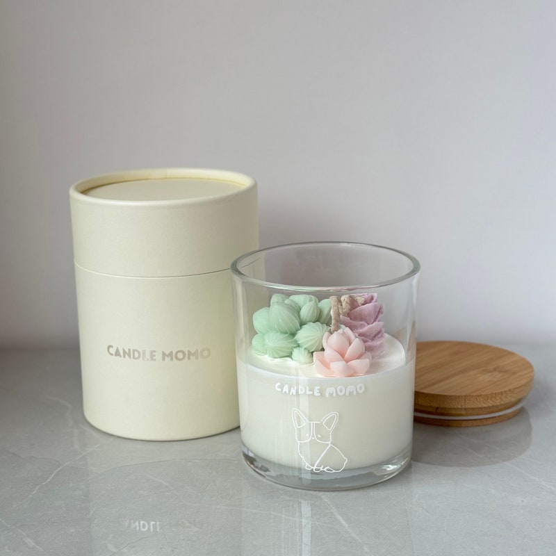 Green Candle Succulent - Etsy