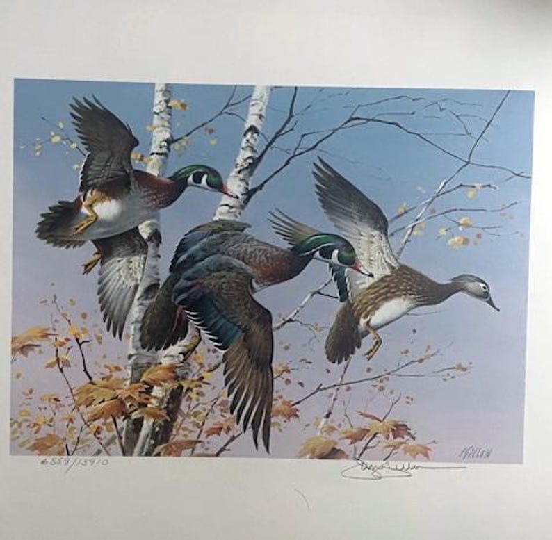 Signed First of State Duck Stamp Prints – Waterfowl Art Collection - Etsy