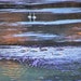 Beautiful Canvas Wall Art Picture, Wall Décor, Canvas Wall Art, Canvas ...