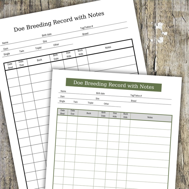 Goat Breeding Record, Homesteading Livestock Planner, Digital Download ...