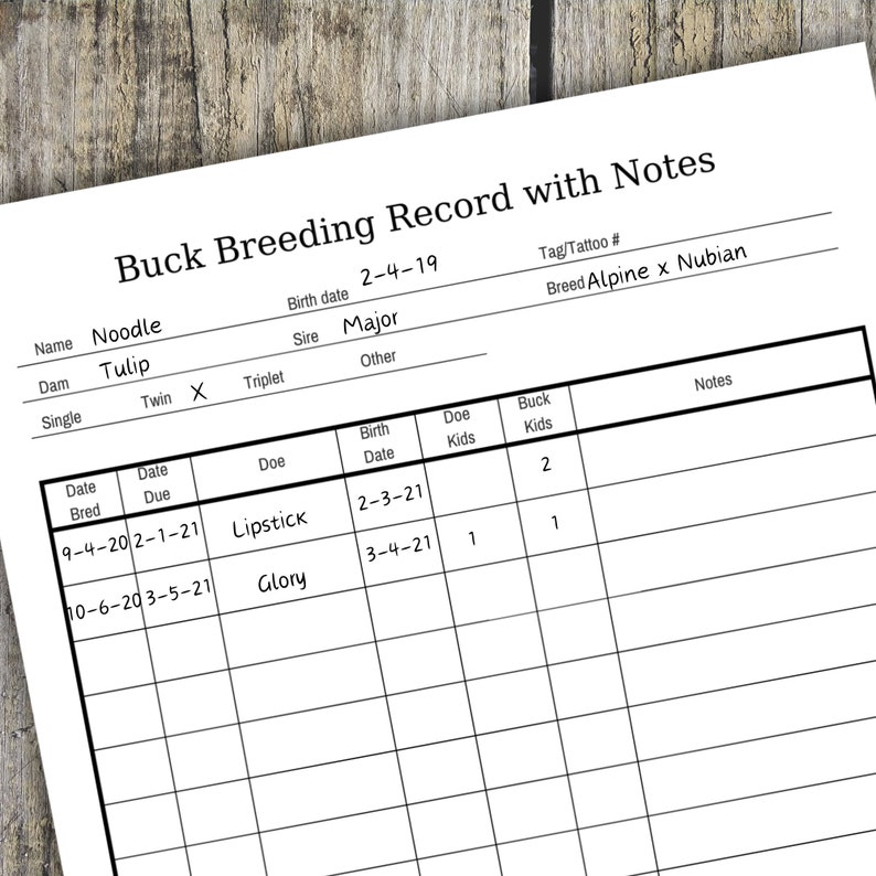 Buck Records, Goat Management, Goat Log, Homestead Records, Hobby ...