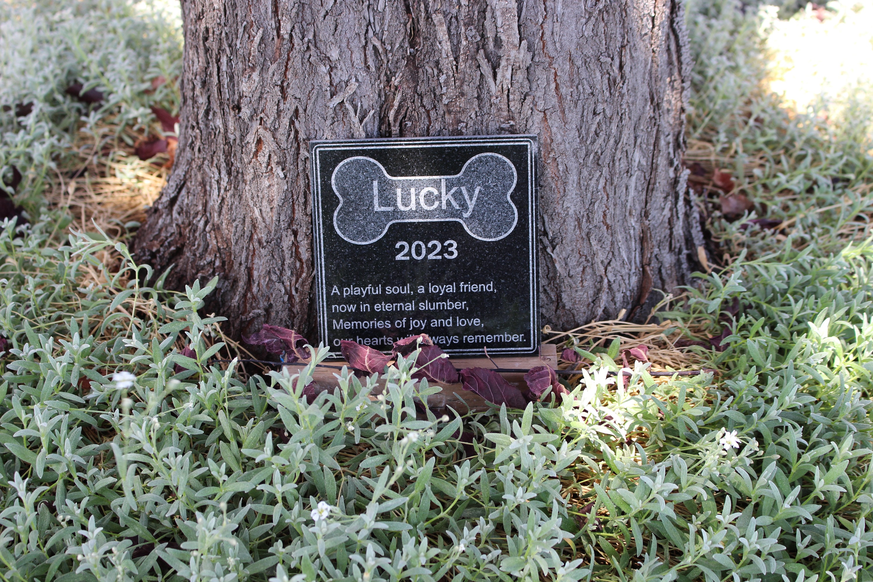 Forever Remembered: 6x6x.4 Custom Granite Dog Gravestone Puppy Memorial ...