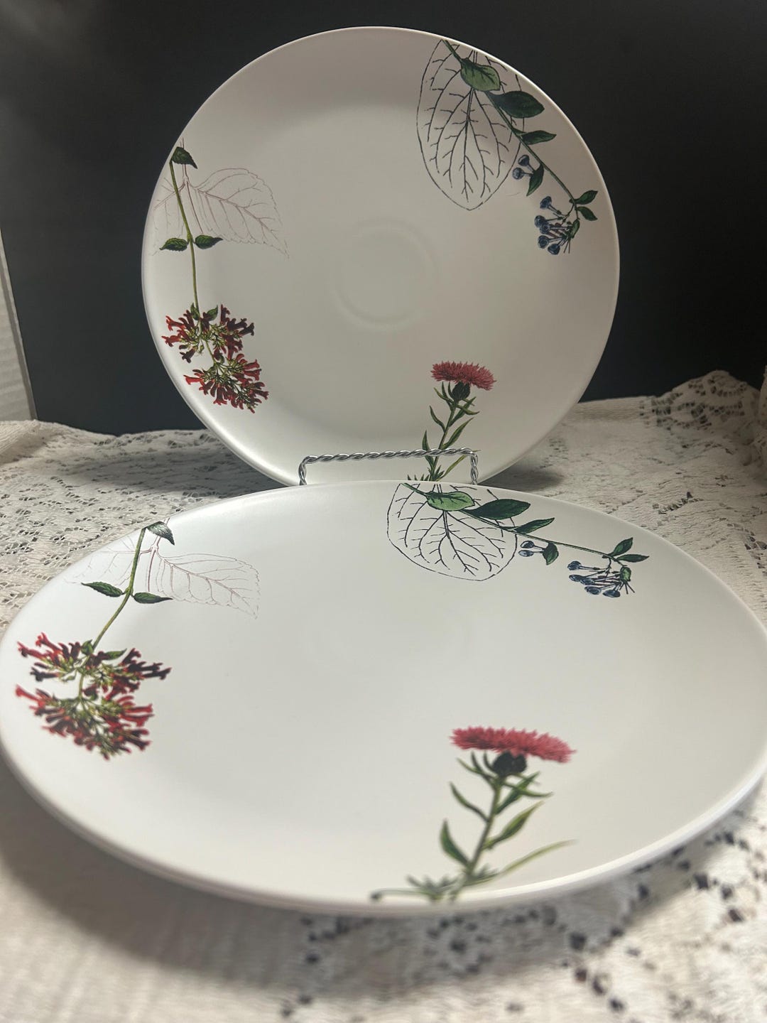 Arcadia Rosanna Dinner Plate Set of 2- 9 5/8” Plates. Designed in ...