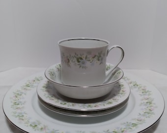 Vintage Johann Haviland forever Spring China - Etsy
