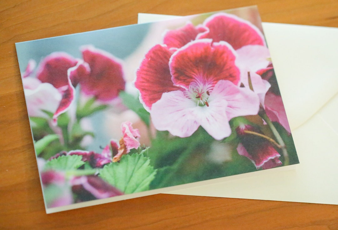 Pink Geranium Flower Greeting Card: Any Occasion, Personal Message - Etsy