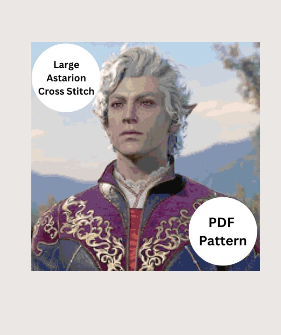 Astarion Baldur's Gate 3 Cross Stitch Pattern: Large Detailed Design ...