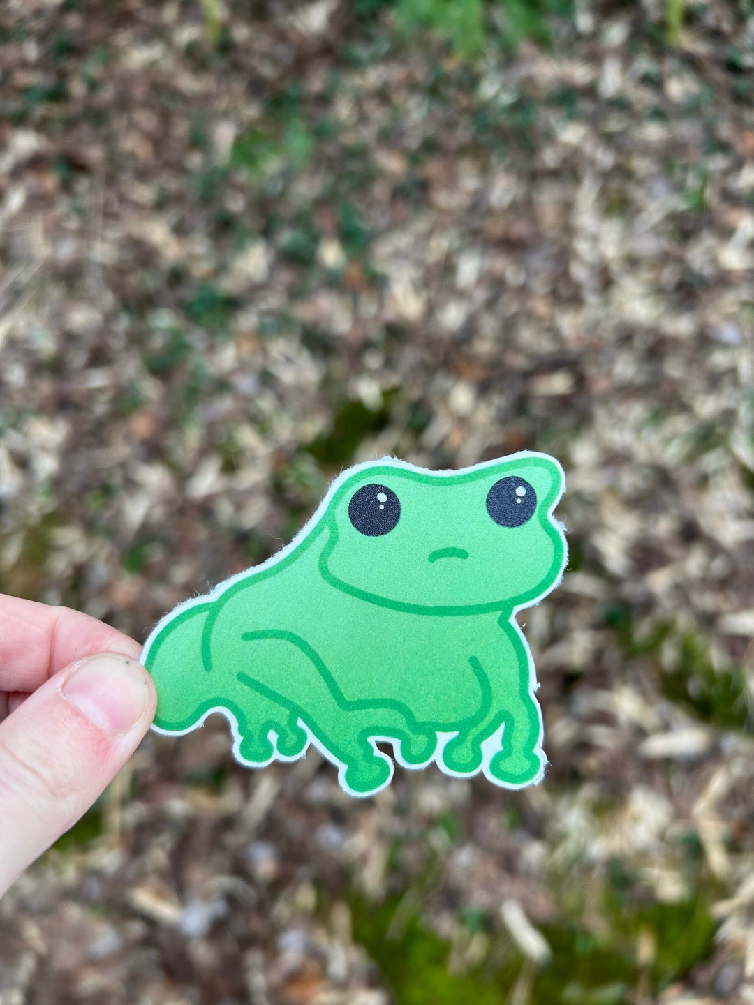 Cute Vinyl Frog Sticker, Frog Lover Gift, Water Bottle and Laptop ...