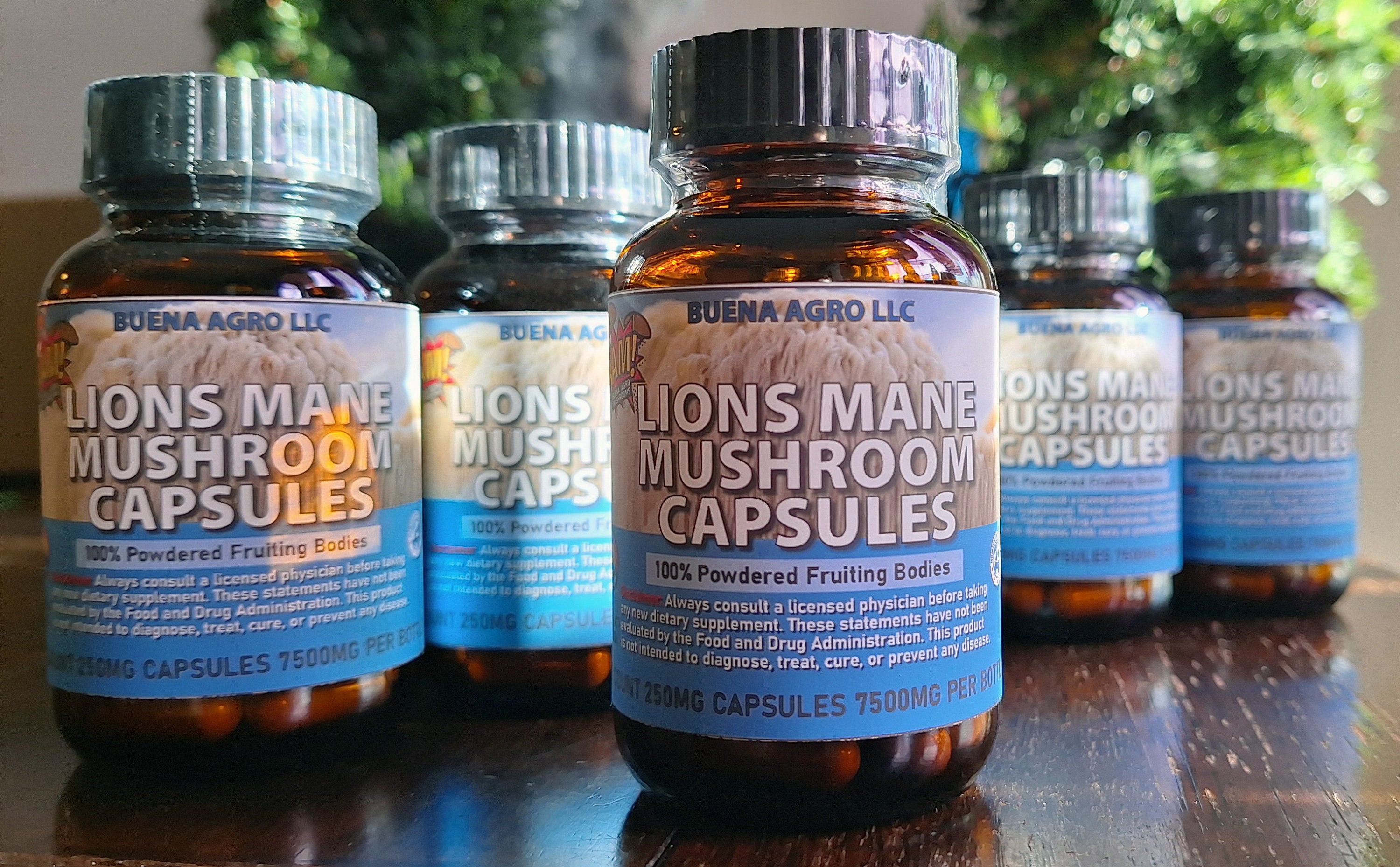 30 Count Lions Mane Capsules - 250mg | 7500mg per Glass Bottle | 100% ...