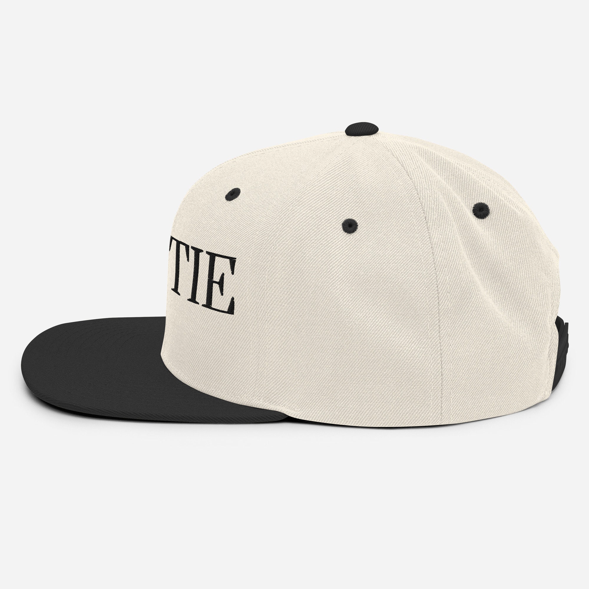 Swiftie Trucker Hat Taylor Swift Hat the Tortured Poets Department Eras ...