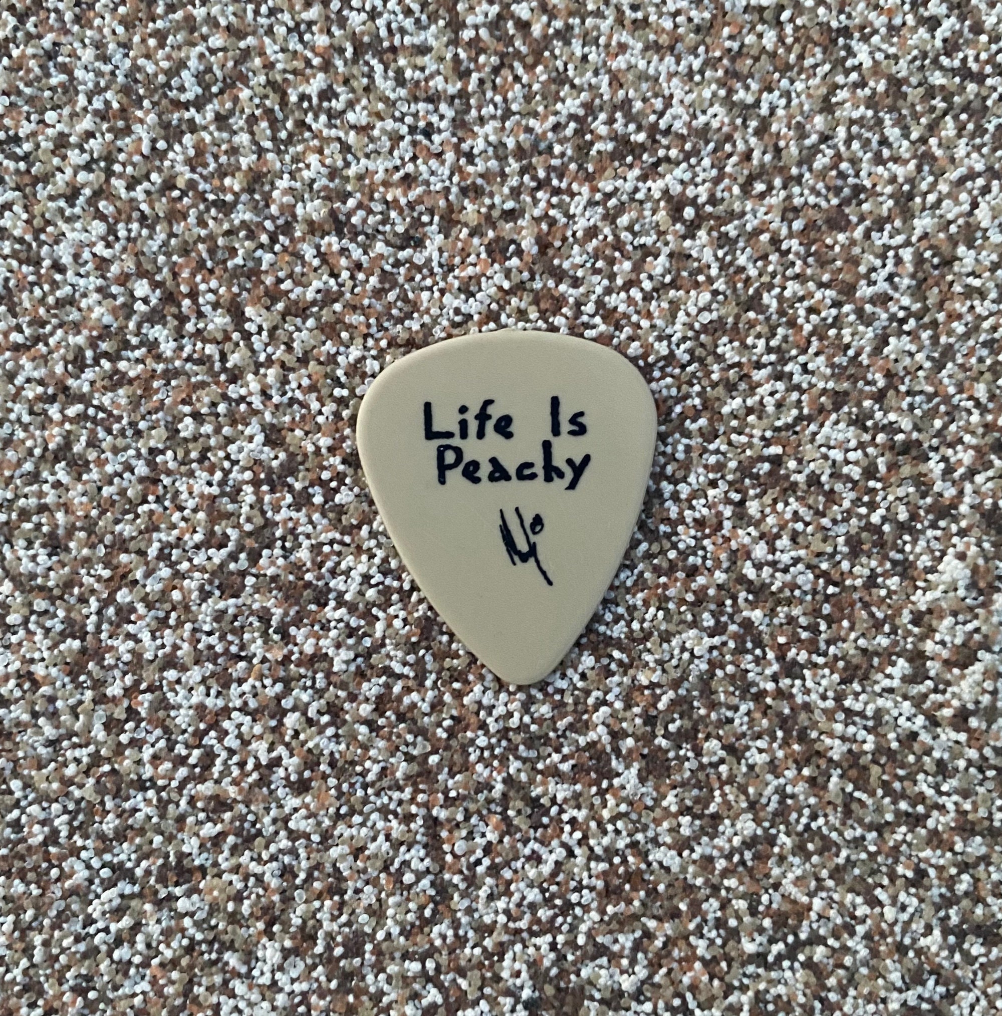 Korn LIVE GIG Stage Used Guitar Pick, Korn Collectible, Rock and Roll ...