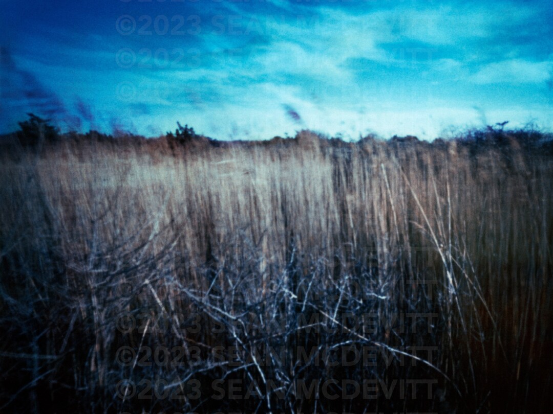 Robert Moses State Park Pinhole Photography, Long Island Fine Art Print ...
