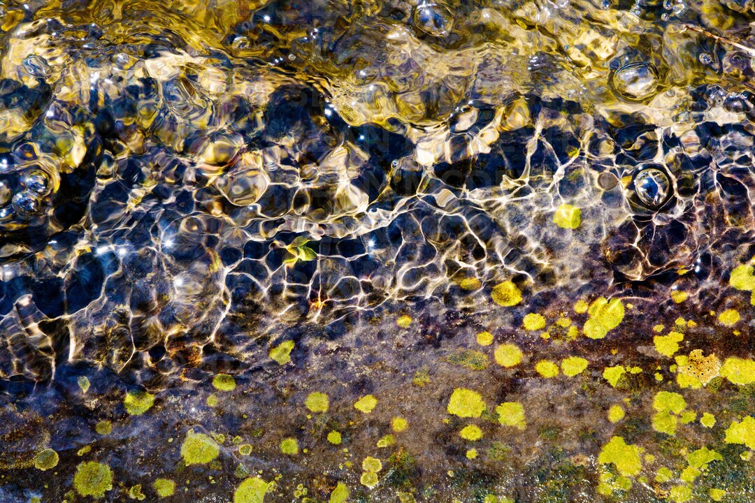 Creek 037 Abstract Nature Color Photography Fine Art Digital Print ...