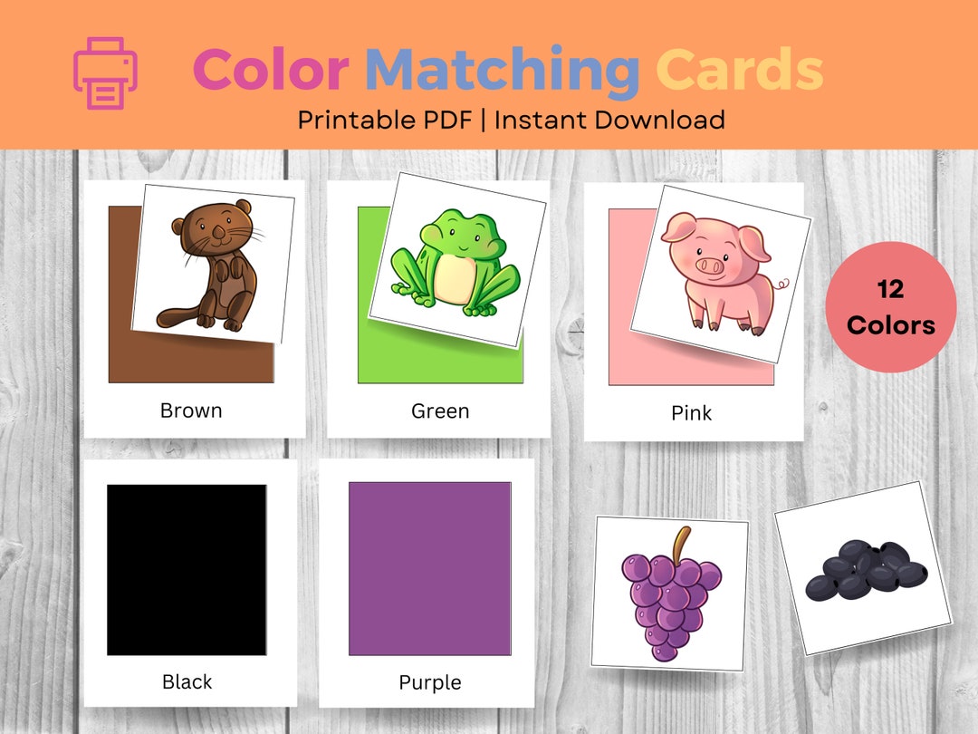 Color Matching Cards Color Sorting Matching Cards Homeschool - Etsy