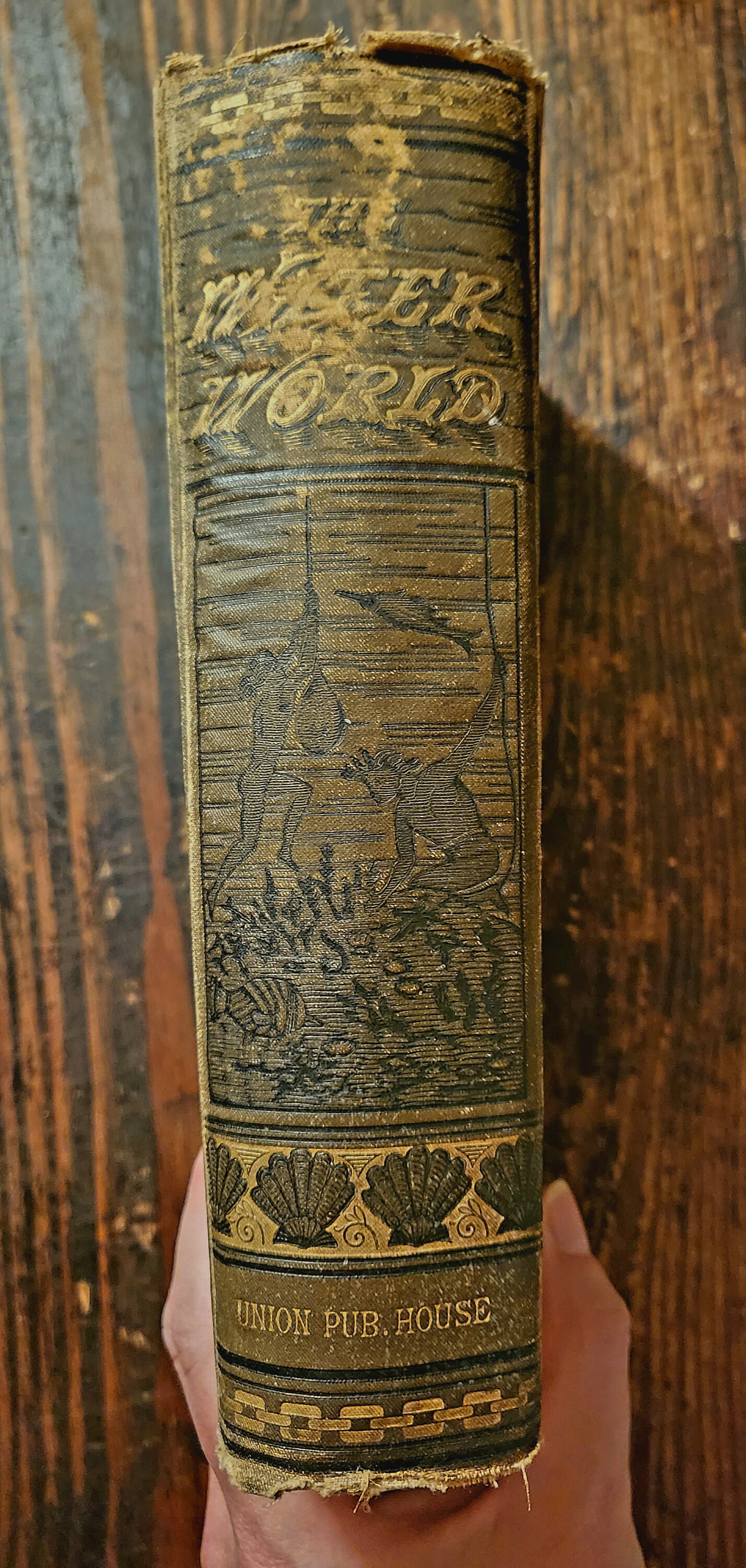 Antique Book the Water World by J.W. Van Dervoort, 1885 Union ...
