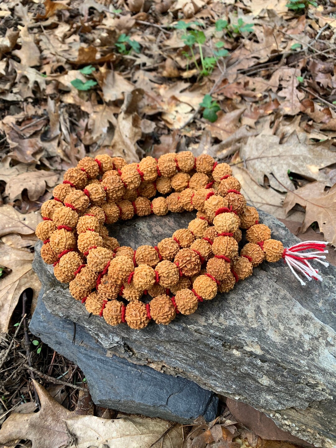 108 Beads Himalaya Rudraksha Shiva Japa Mala XL Size - Handmade in ...