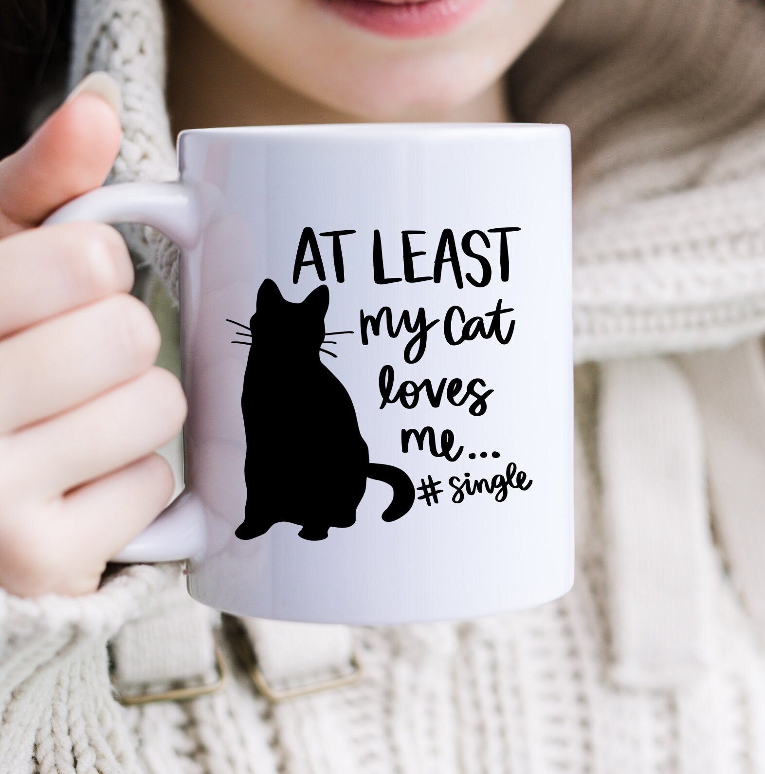 Cats Saying Funny Comments