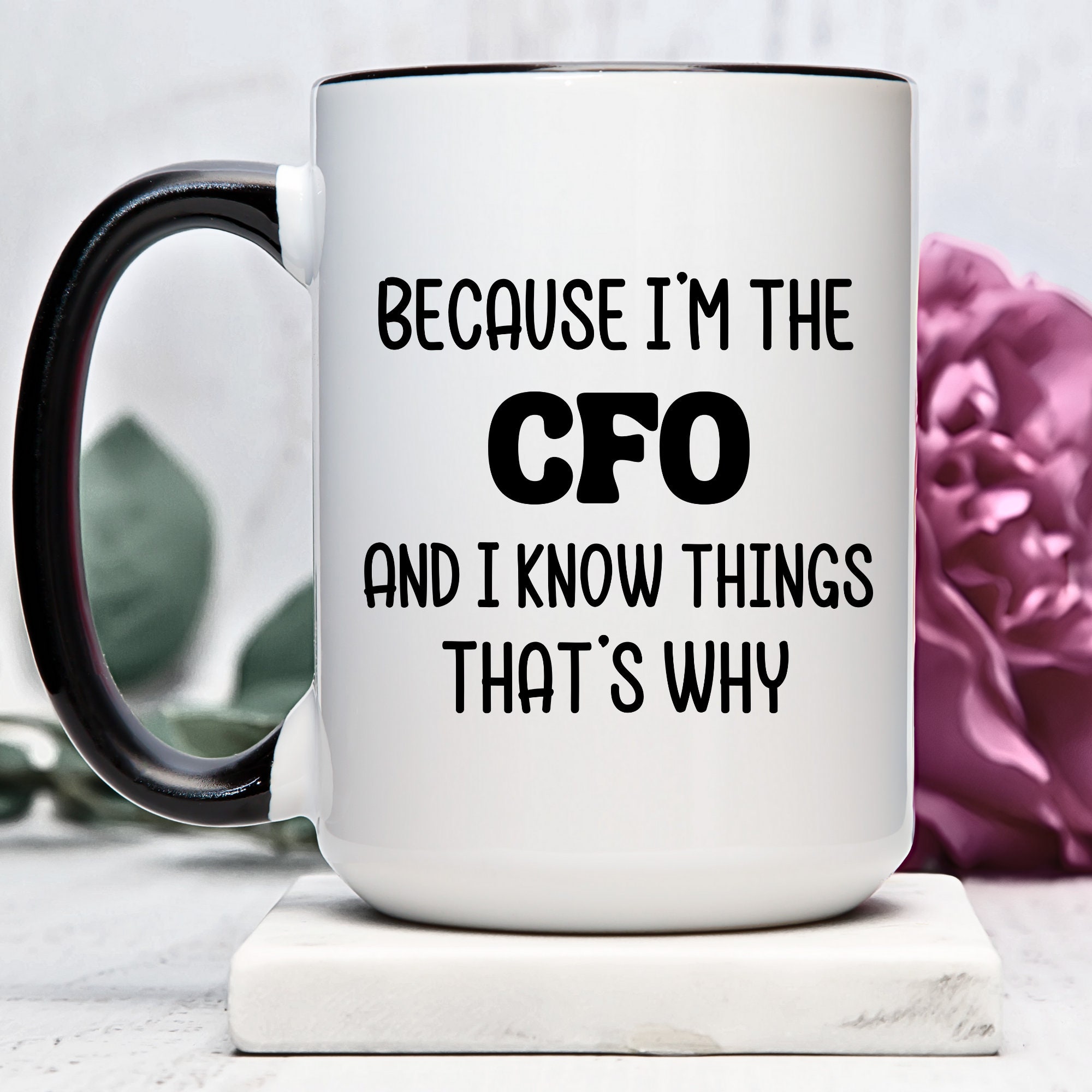 CFO Mug for Chief Finance Officer, Business Money Management Grad ...