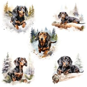 Dachshund Clipart Bundle | Dog Sublimation Design | Dachshund ...