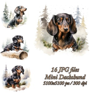 Mini Dachshund Clipart Bundle | Dog Sublimation Design | Mini Dachshund ...