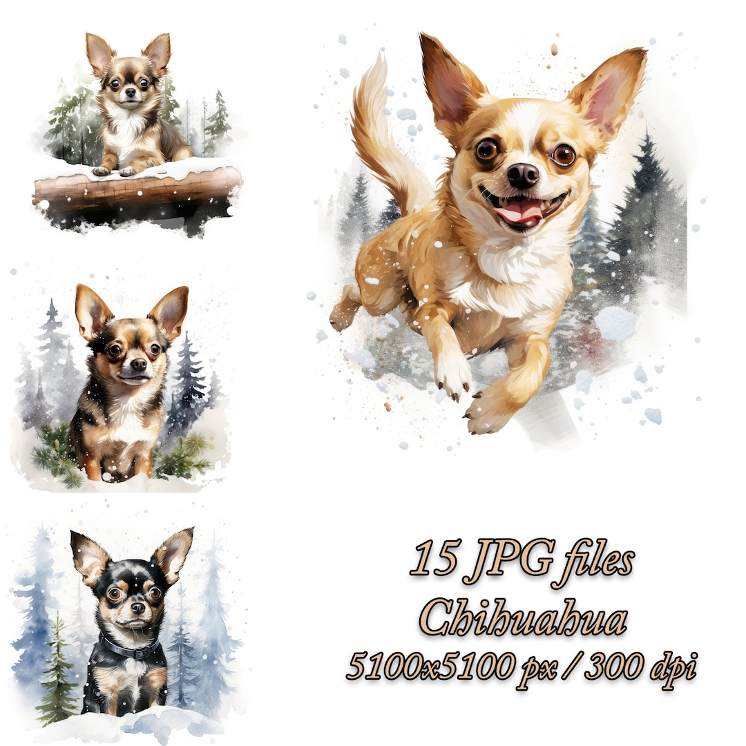 Chihuahua Clipart Bundle | Dog Sublimation Design | Chihuahua Dog ...
