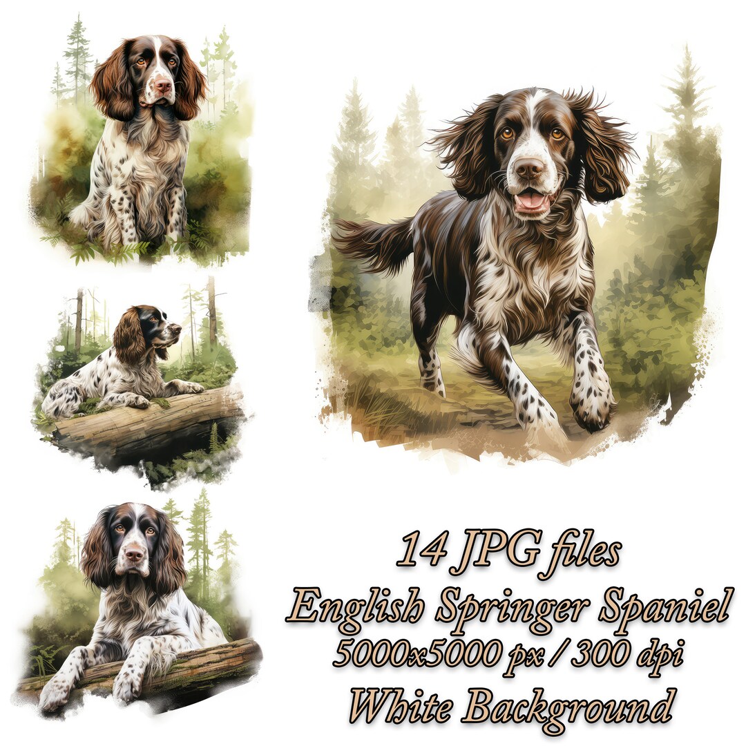 English Springer Spaniel Clipart Pack, Dog Sublimation Design, Spaniel ...