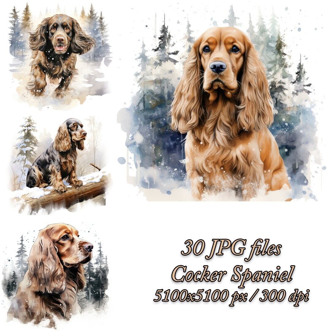 Cocker Spaniel Watercolor Clipart Bundle: Winter Dog Design (JPG Files ...