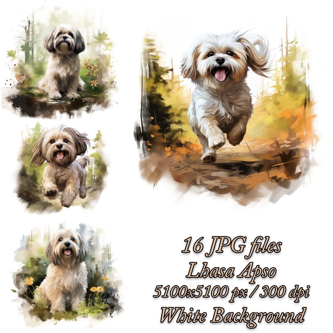 Lhasa Apso Clipart Bundle Dog Sublimation Pack, Lhasa Apso Watercolor ...