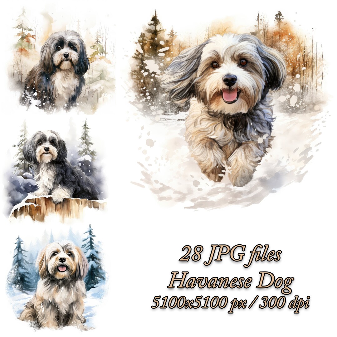 Havanese Dog Clipart Bundle | Dog Sublimation Design | Havanese ...
