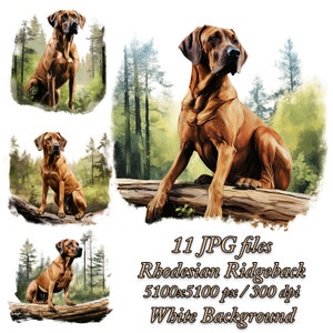 Rhodesian Ridgeback Clipart Pack, Dog Sublimation Pack, Rhodesian ...